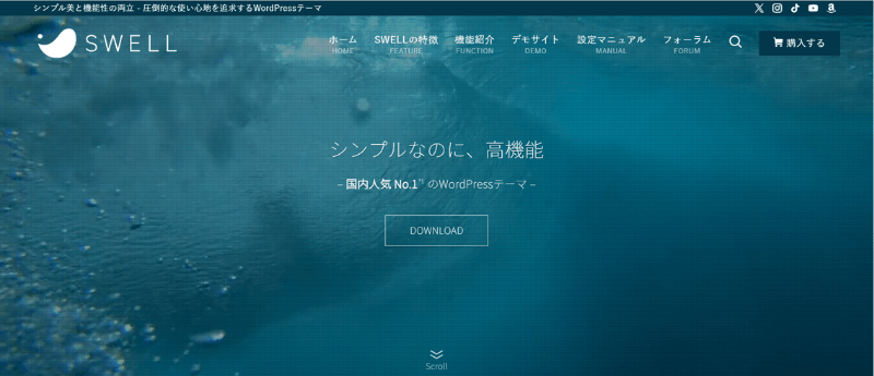 SWELLの評判を徹底レビュー｜Cocoonから乗り換えた理由や使ってみた感想も紹介